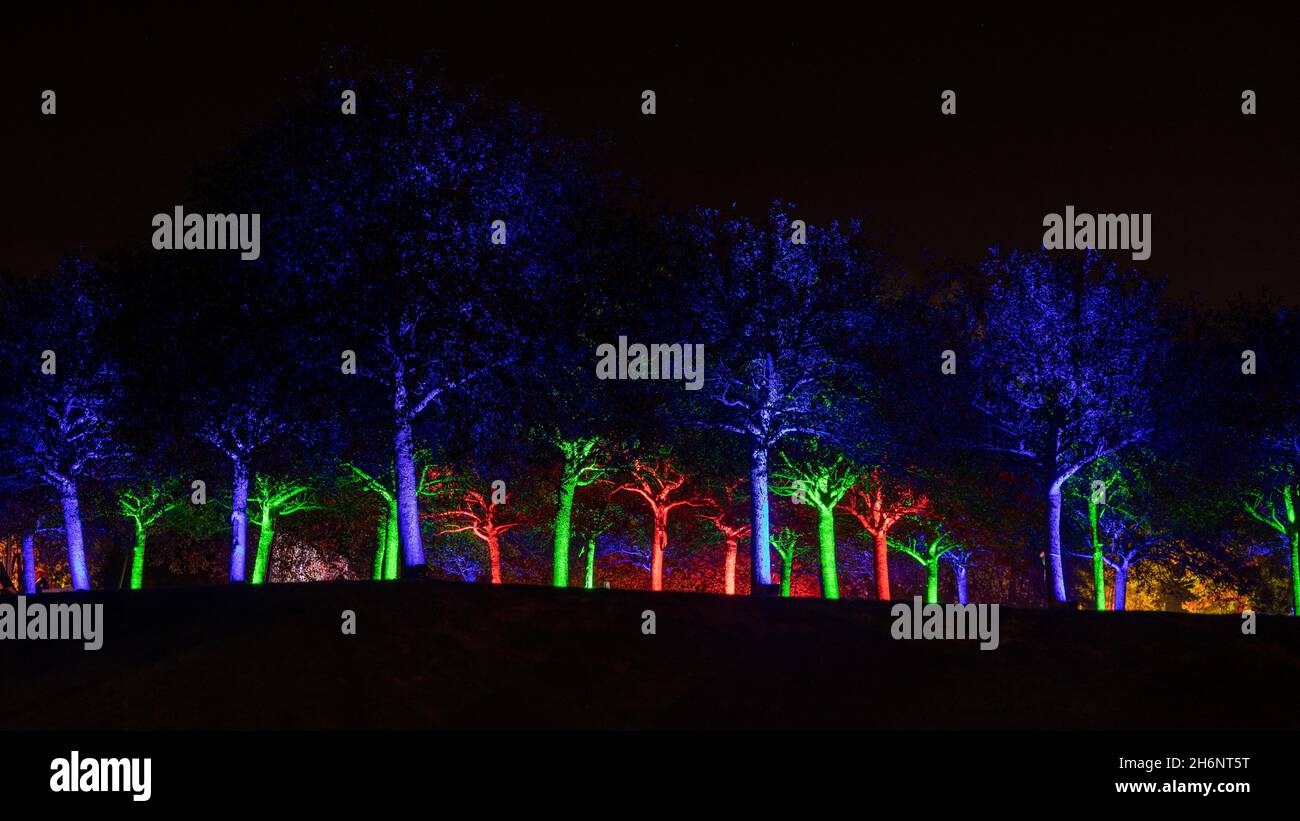 Autumn Lights in the Bridgehead Park, Juelich, Germany Stock Photo - Alamy