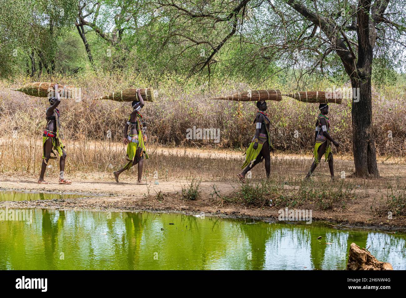 Girls with collected reeds on their heads on their way home, Toposa ...
