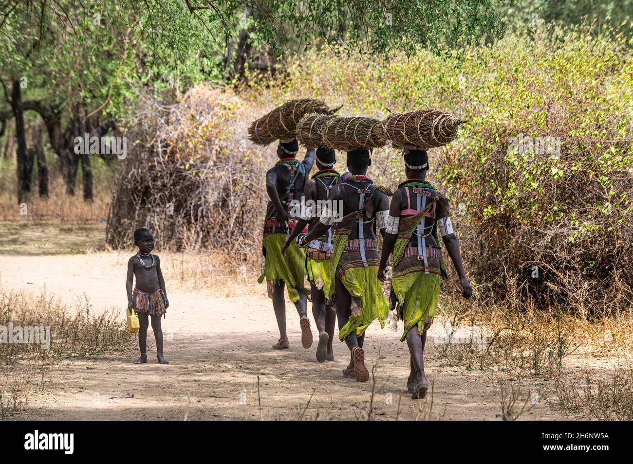 Girls with collected reeds on their heads on their way home, Toposa ...
