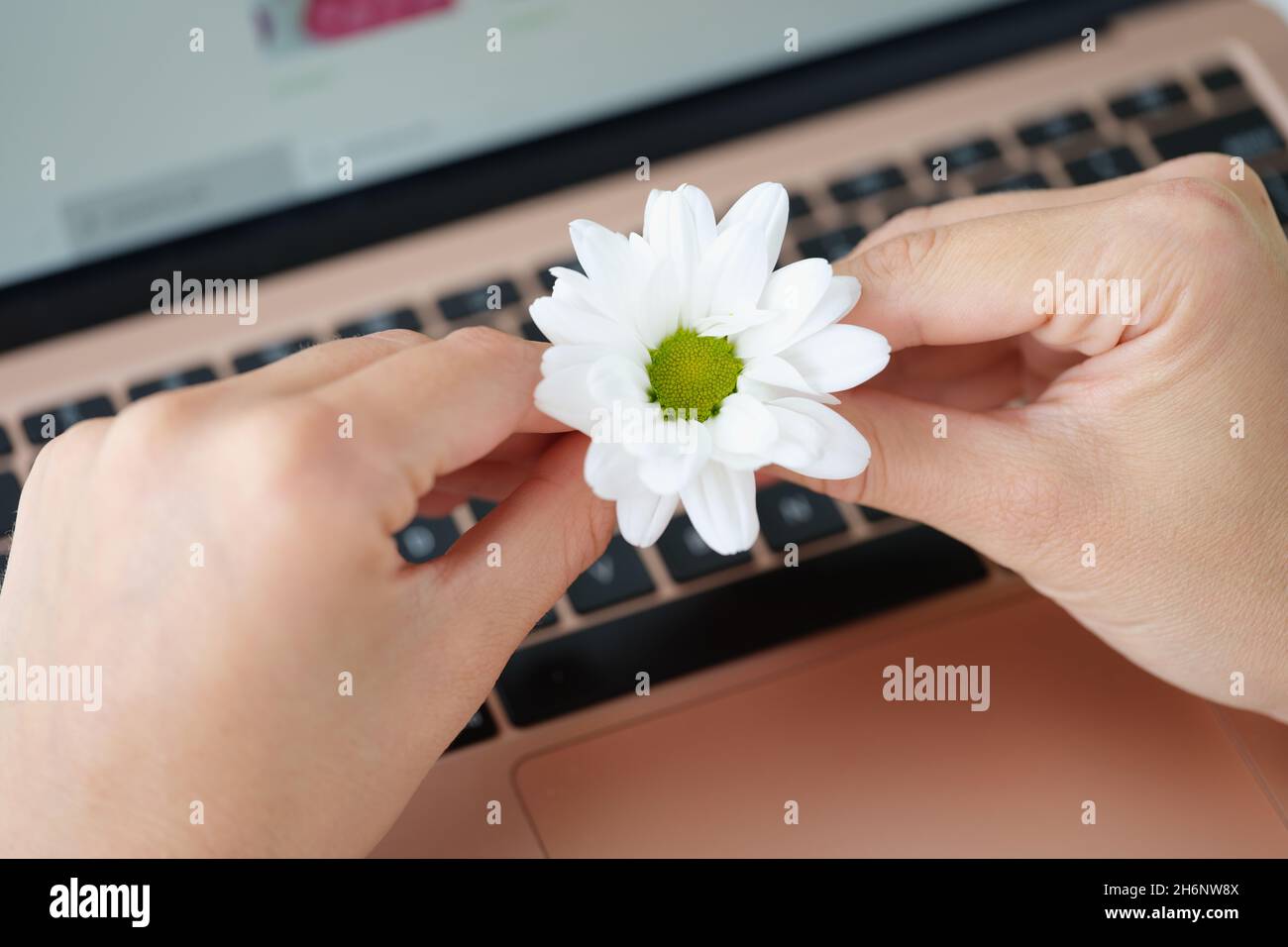 Smelly plant hi-res stock photography and images - Alamy