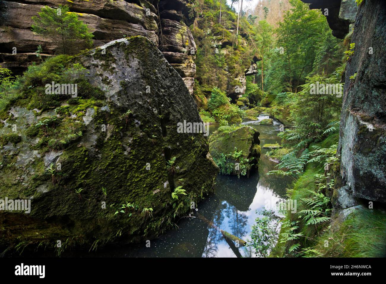 Edmundsklamm with river Kamenice (German Kamnitz), core zone Saxon ...