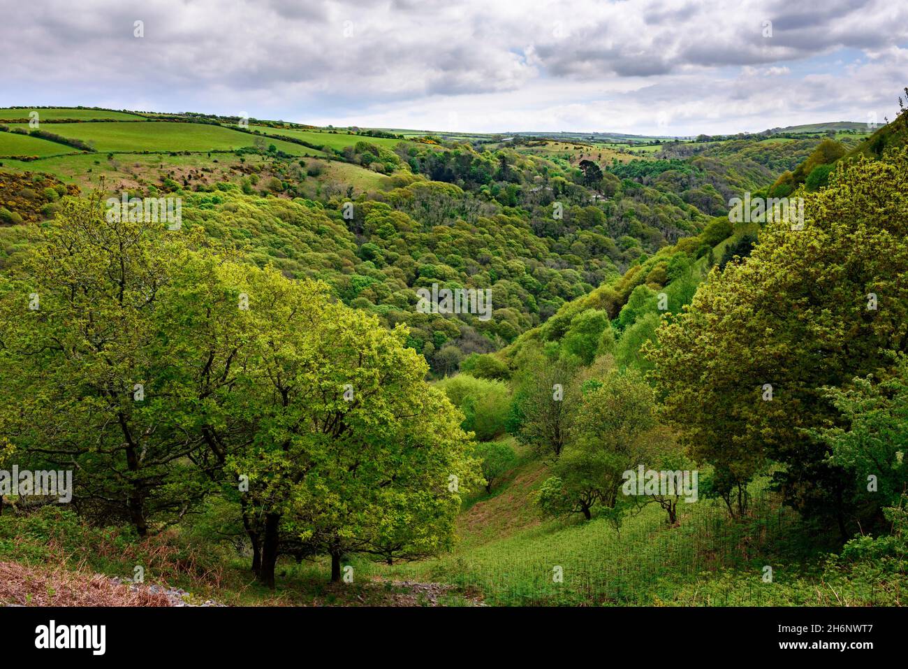 Heddon Valley of Heddon's Mouth Cleave in Spring, Exmoor National Park ...