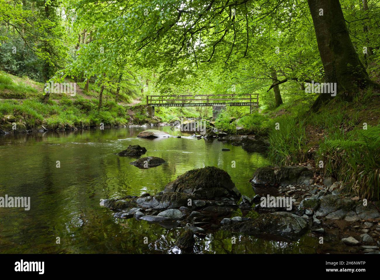 Ash Bridge over the East Lyn River at Barton Wood in Exmoor National ...