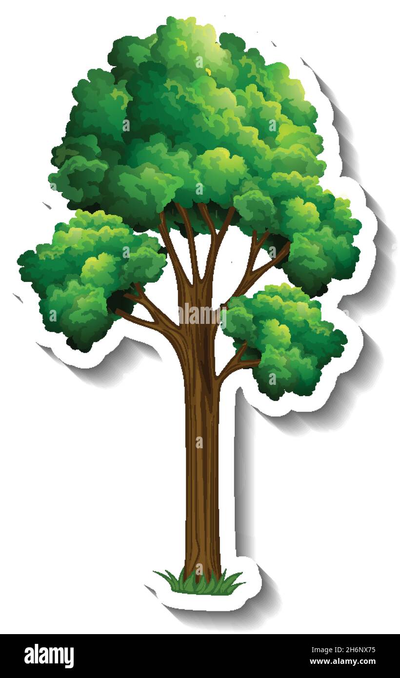 Tree sticker on white background illustration Stock Vector Image & Art ...
