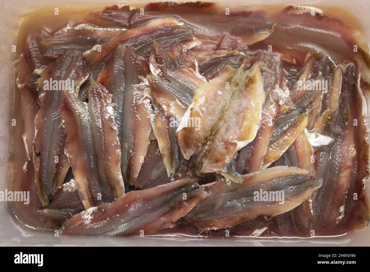 fresh anchovy fillets filleted and placed to drain Stock Photo - Alamy