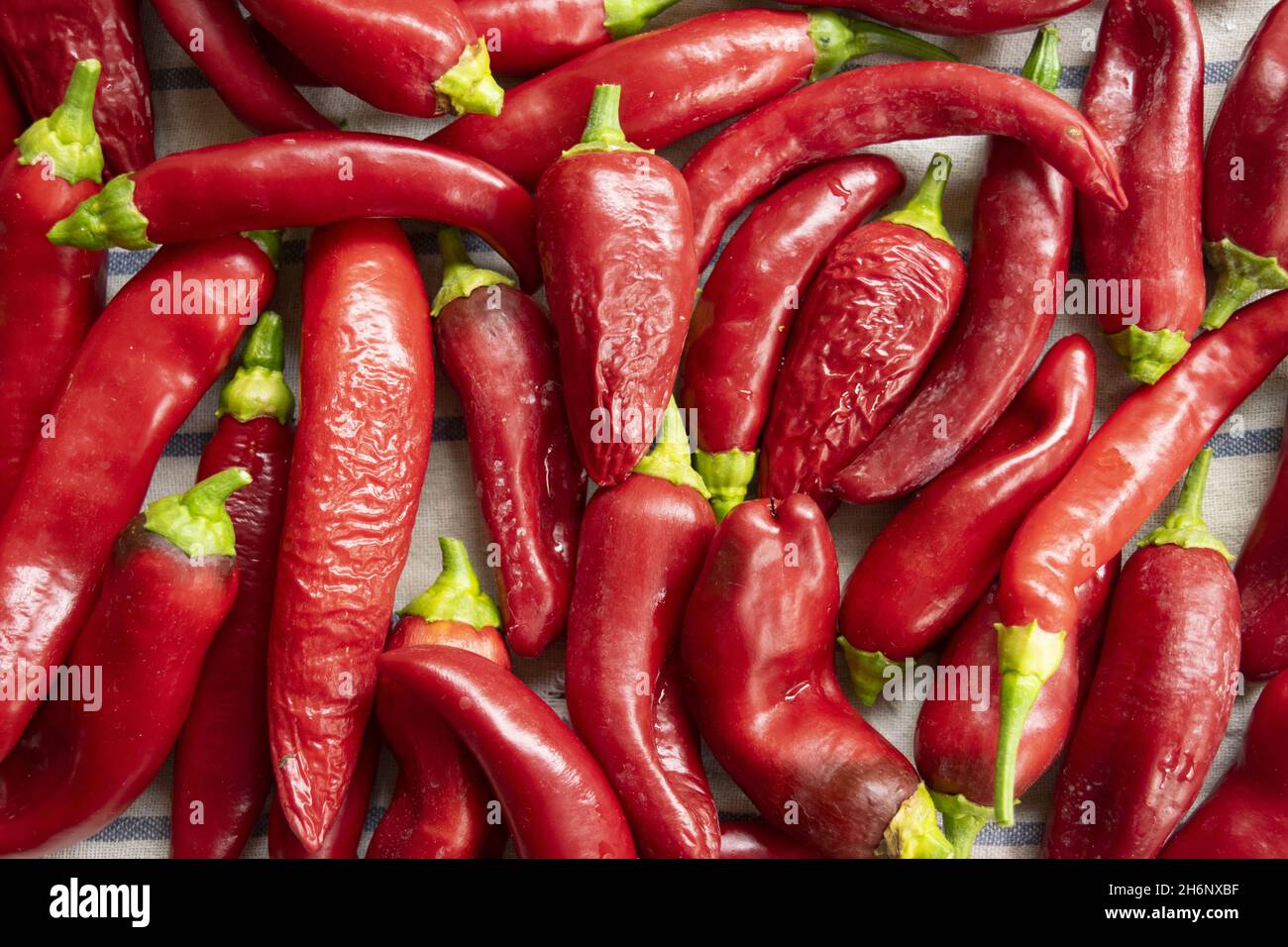 top view of hot chilli just picked from the garden Stock Photo - Alamy