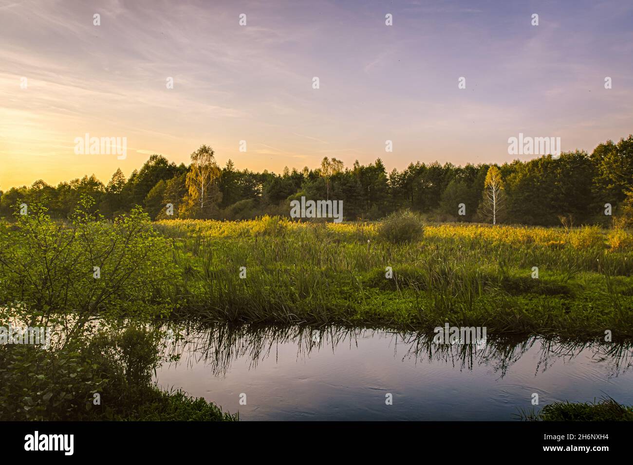 Autumn colors in sleepy nature, Poland Stock Photo - Alamy