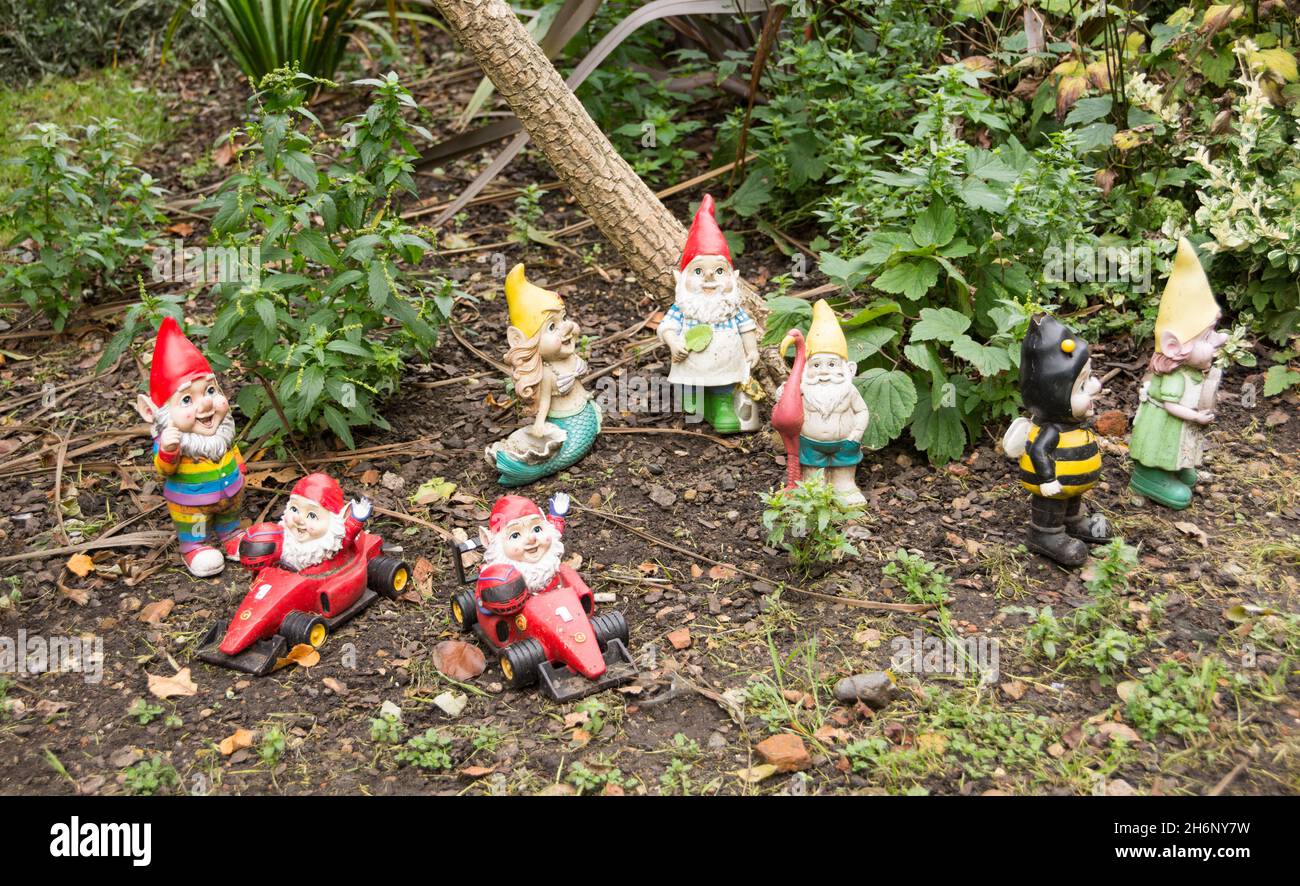 Garden gnome collector hi-res stock photography and images - Alamy