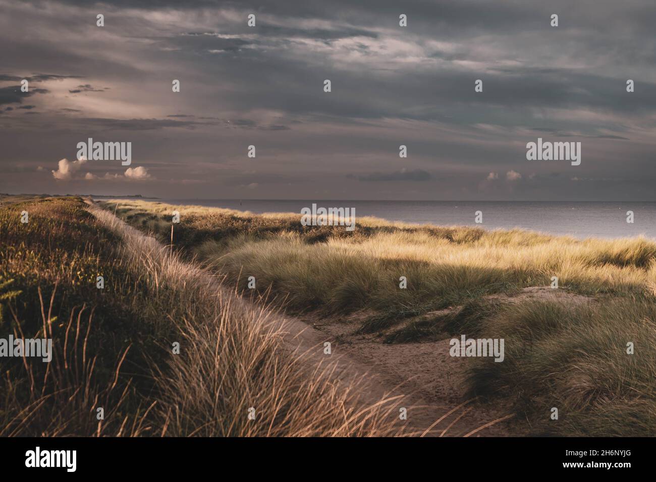 coast path on sand dunes Stock Photo - Alamy