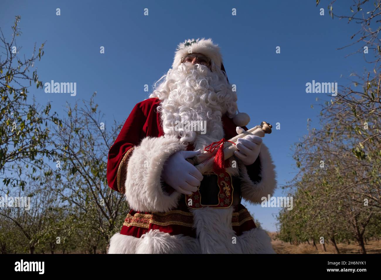 Issa Kassissieh, an Arab Orthodox Christian and Israel’s only certified ...