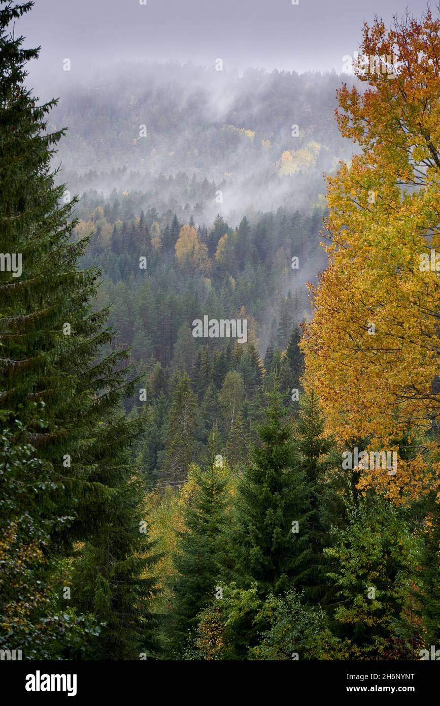 Honefoss hi-res stock photography and images - Alamy