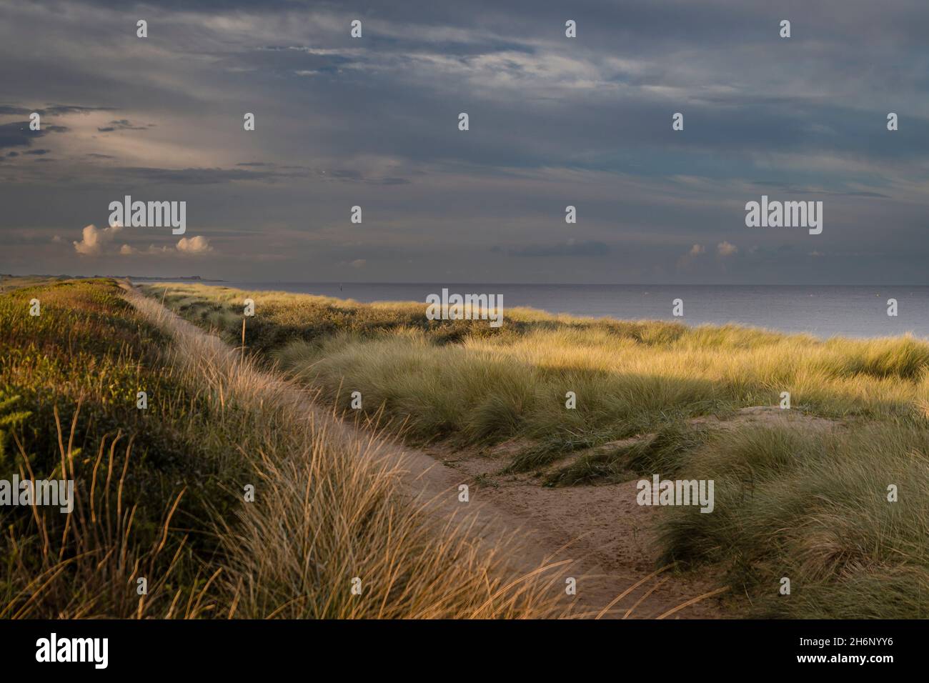 coastal path on sand dunes Stock Photo - Alamy