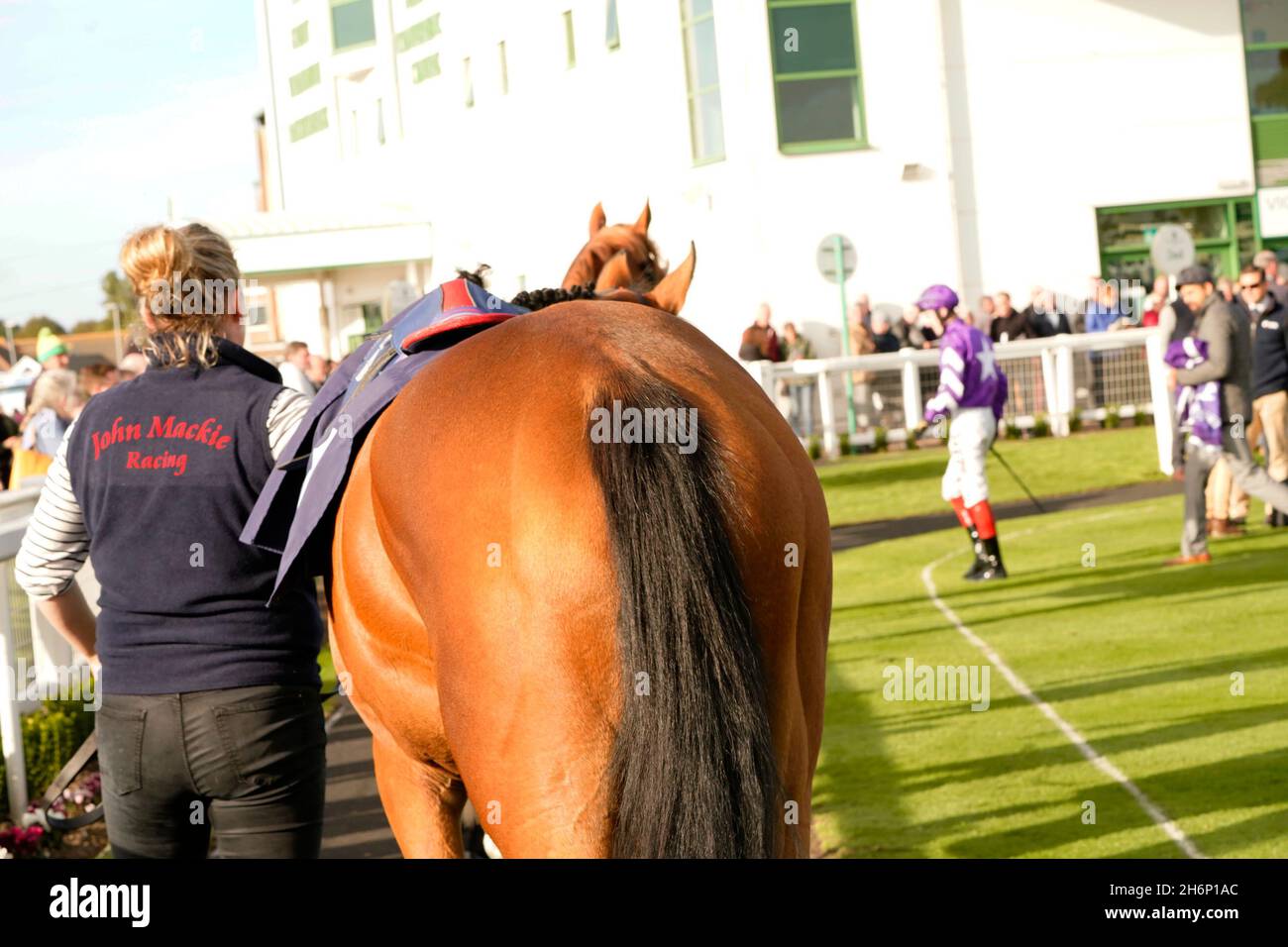 atmosphere and thrill of a day at the races with the crowd and the ...