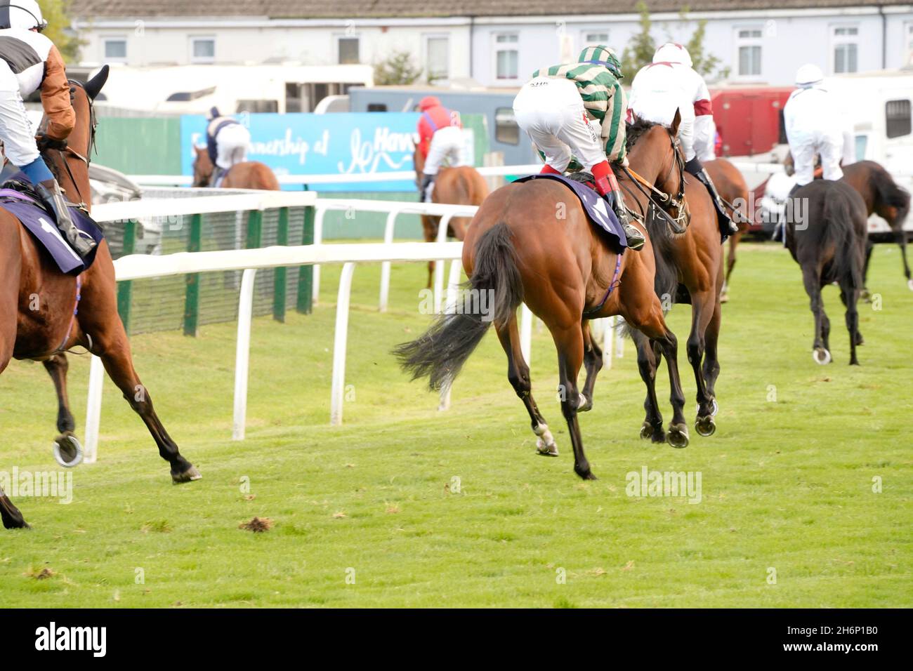 atmosphere and thrill of a day at the races with the crowd and the ...
