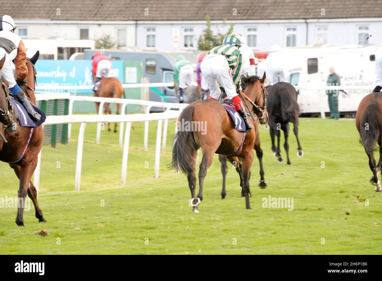atmosphere and thrill of a day at the races with the crowd and the ...