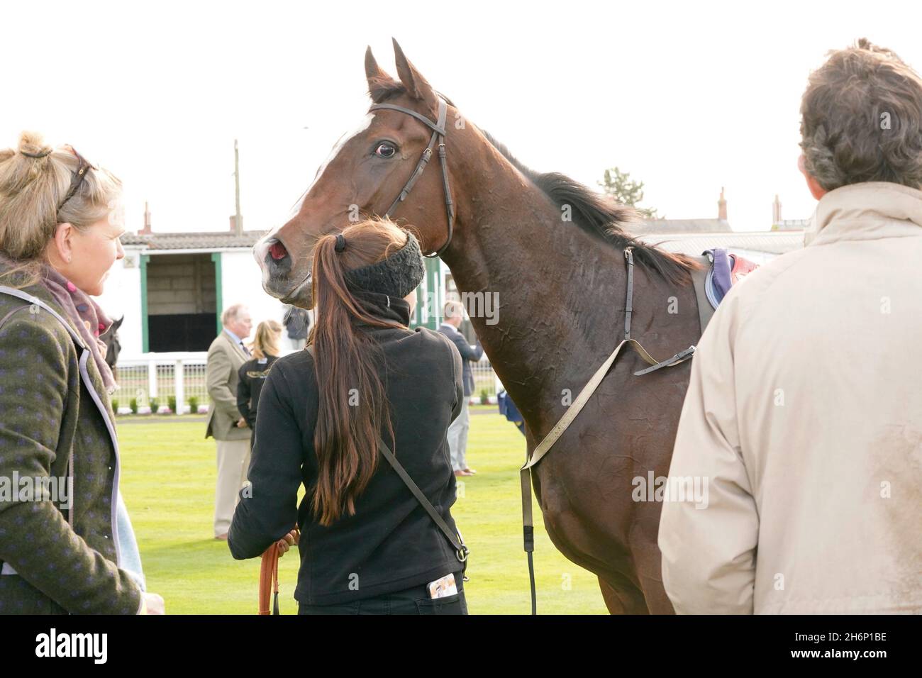 atmosphere and thrill of a day at the races with the crowd and the ...
