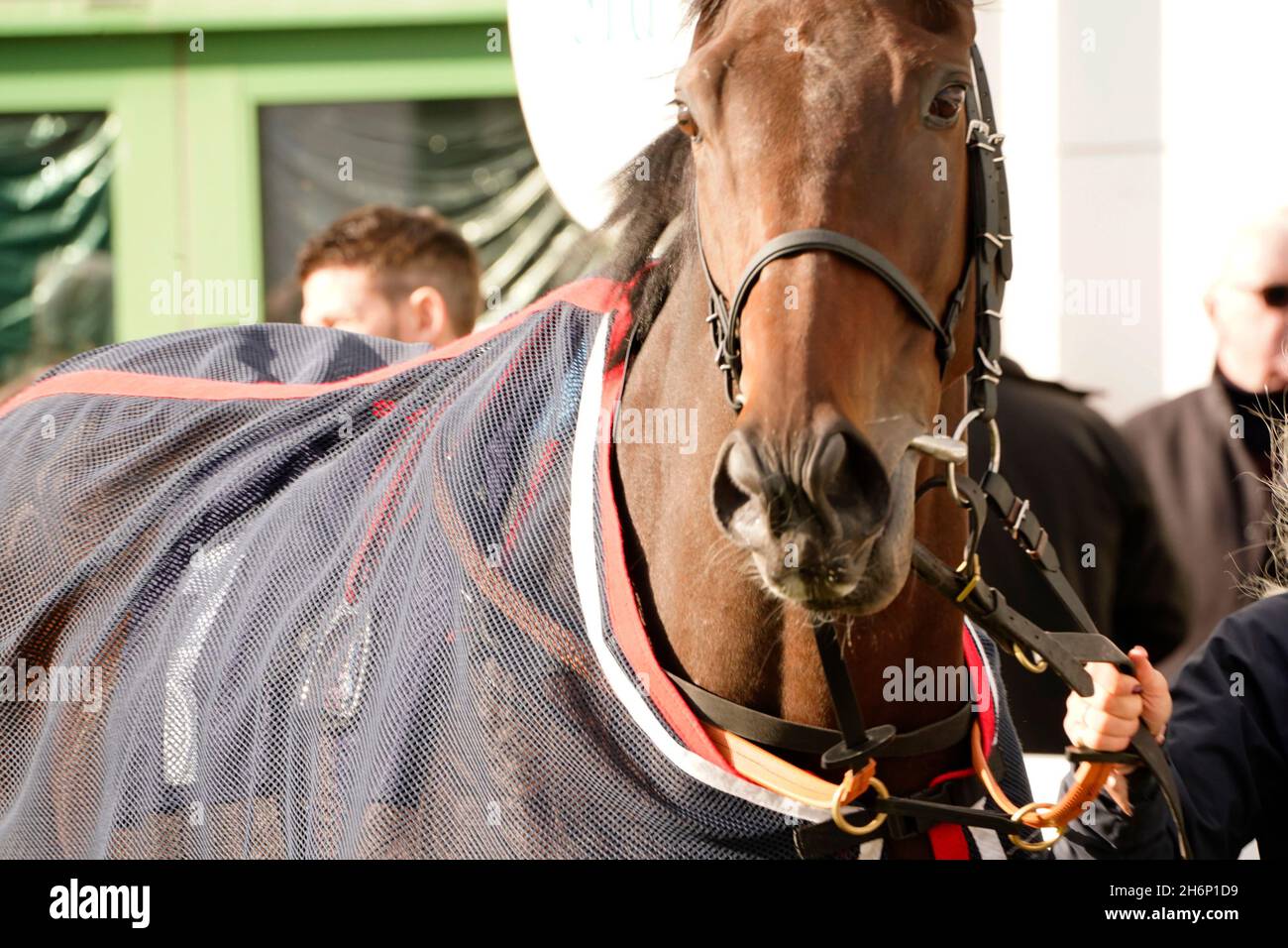 atmosphere and thrill of a day at the races with the crowd and the ...