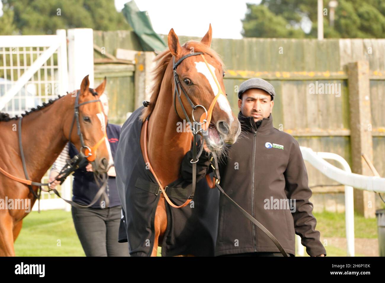 atmosphere and thrill of a day at the races with the crowd and the ...