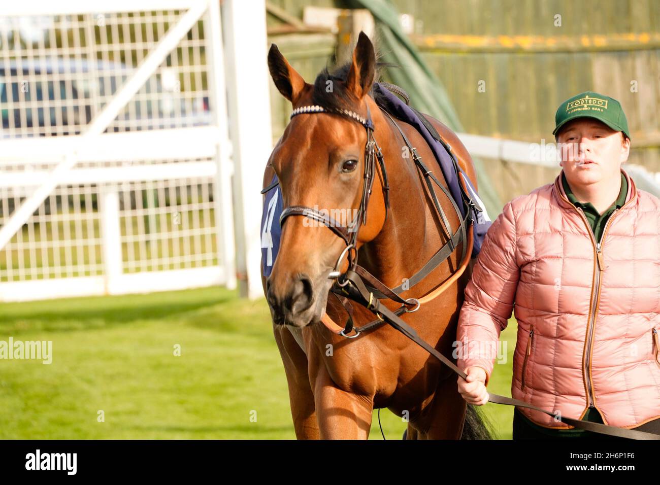 atmosphere and thrill of a day at the races with the crowd and the ...