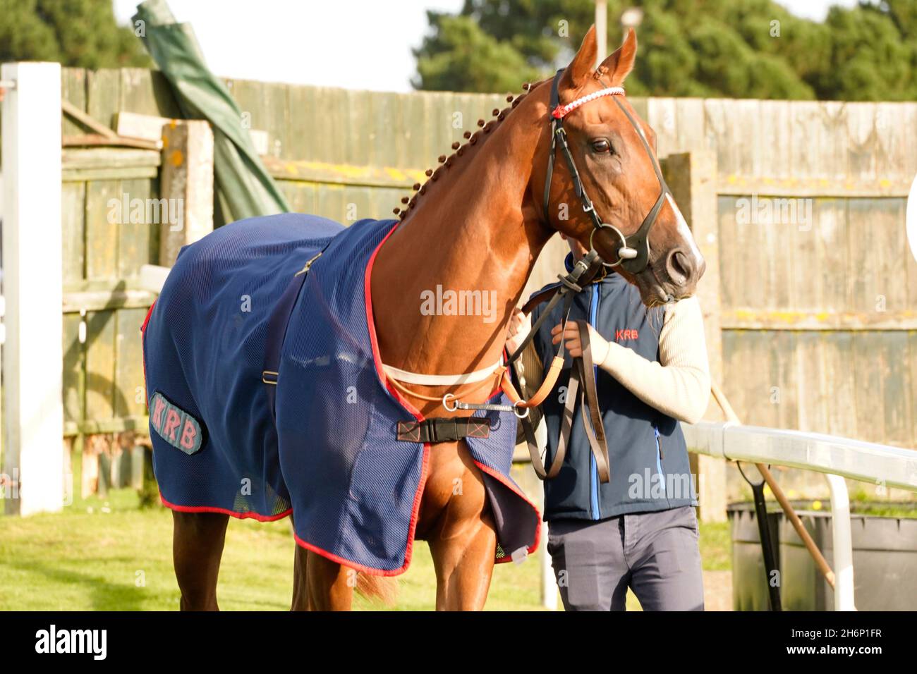 atmosphere and thrill of a day at the races with the crowd and the ...