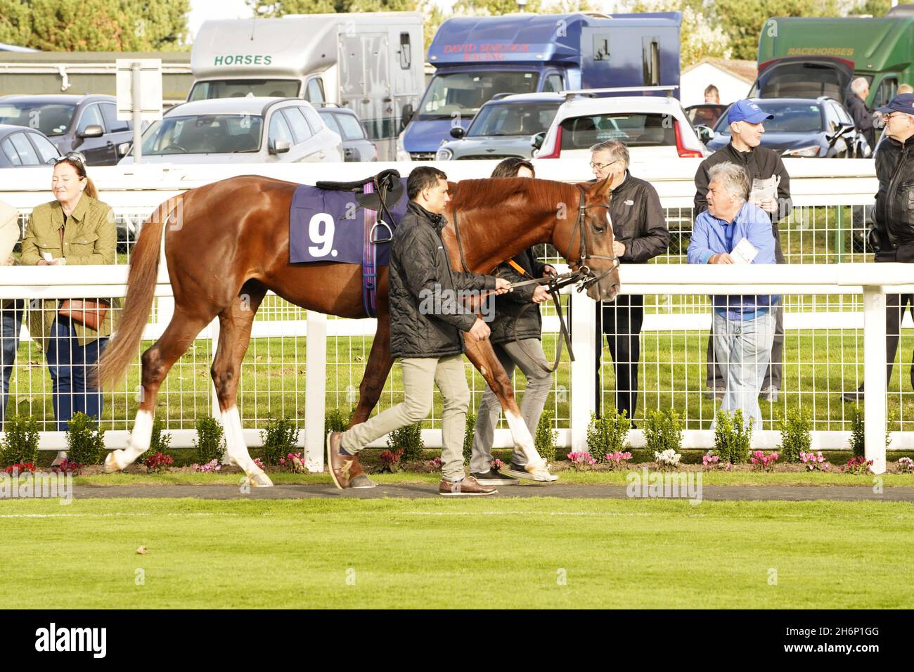 atmosphere and thrill of a day at the races with the crowd and the ...