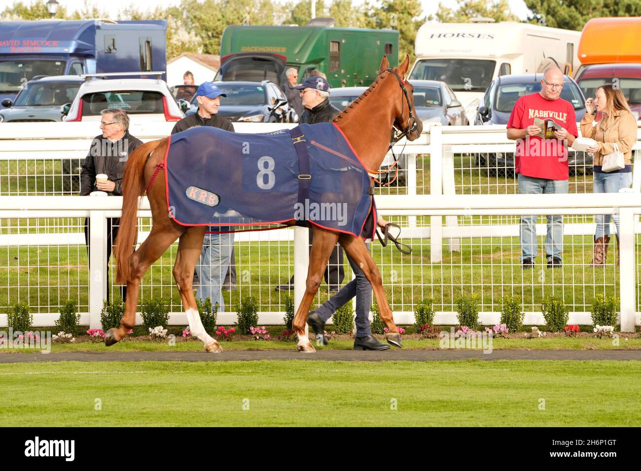 atmosphere and thrill of a day at the races with the crowd and the ...