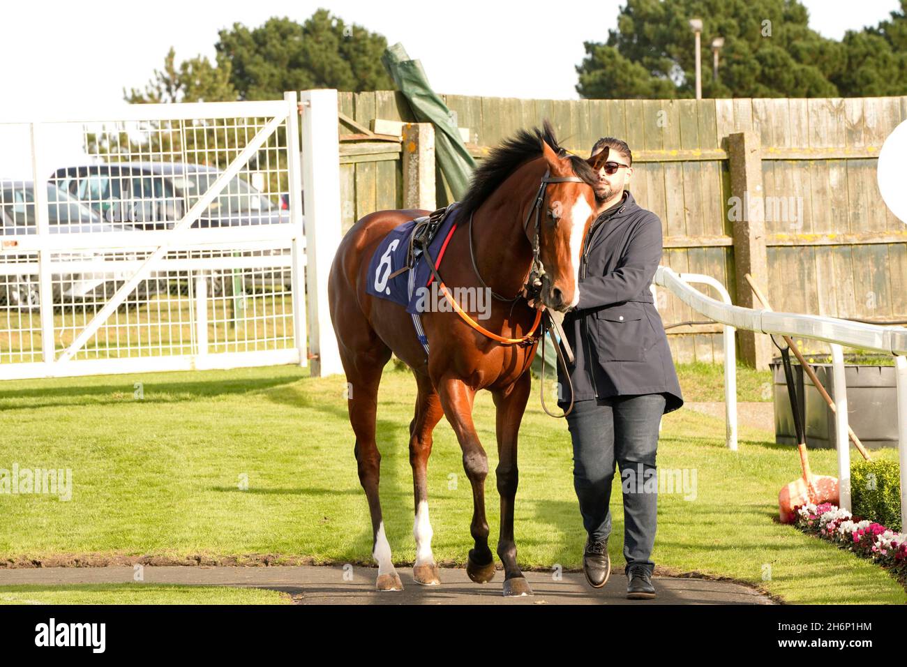 atmosphere and thrill of a day at the races with the crowd and the ...
