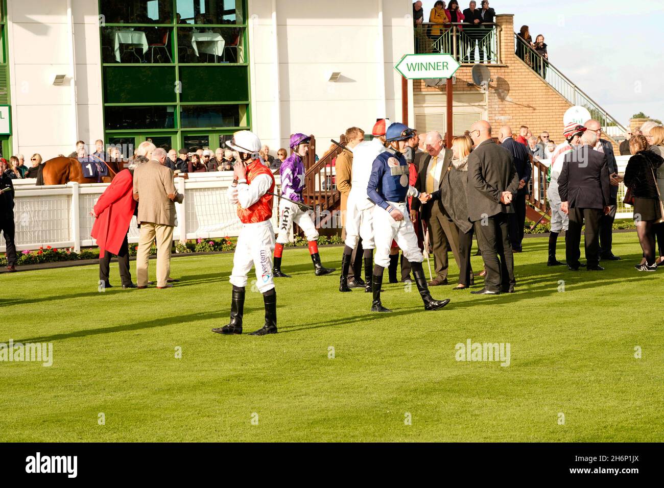 Horses athletic performance hi-res stock photography and images - Alamy