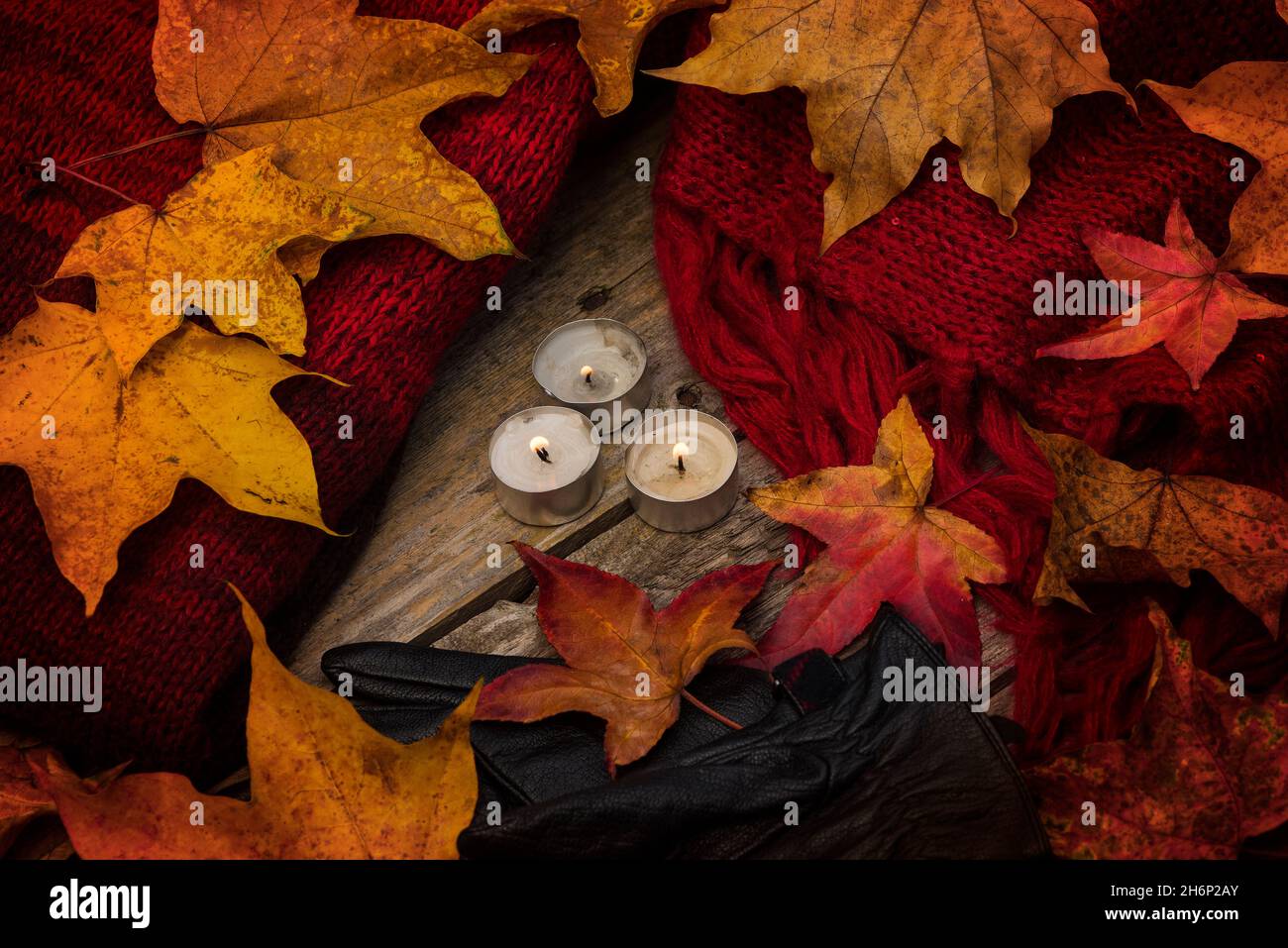 Autumn / Fall fashion. Thick wool jumper, scarf and faux leather gloves ...