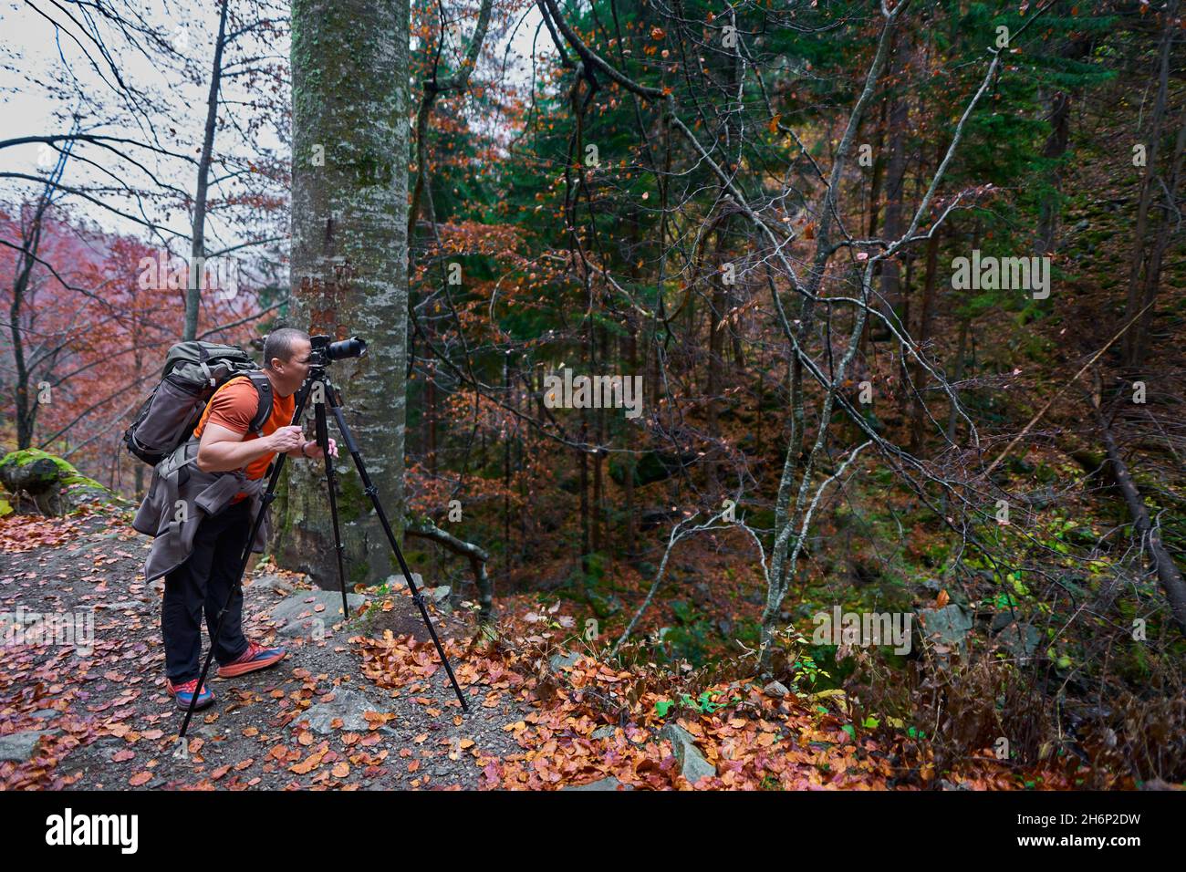 Professional nature photographer shooting landscapes in a colorful ...