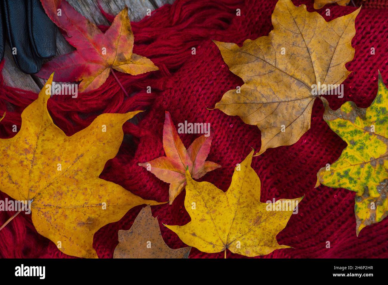 Chilly weather hi-res stock photography and images - Alamy