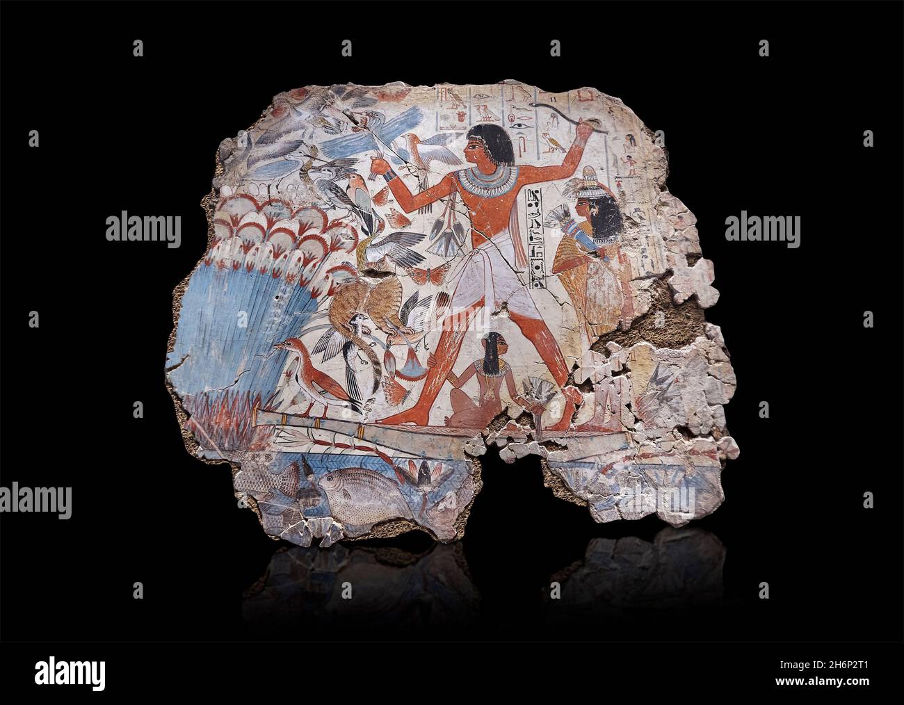 Nebamun hunting hi-res stock photography and images - Alamy