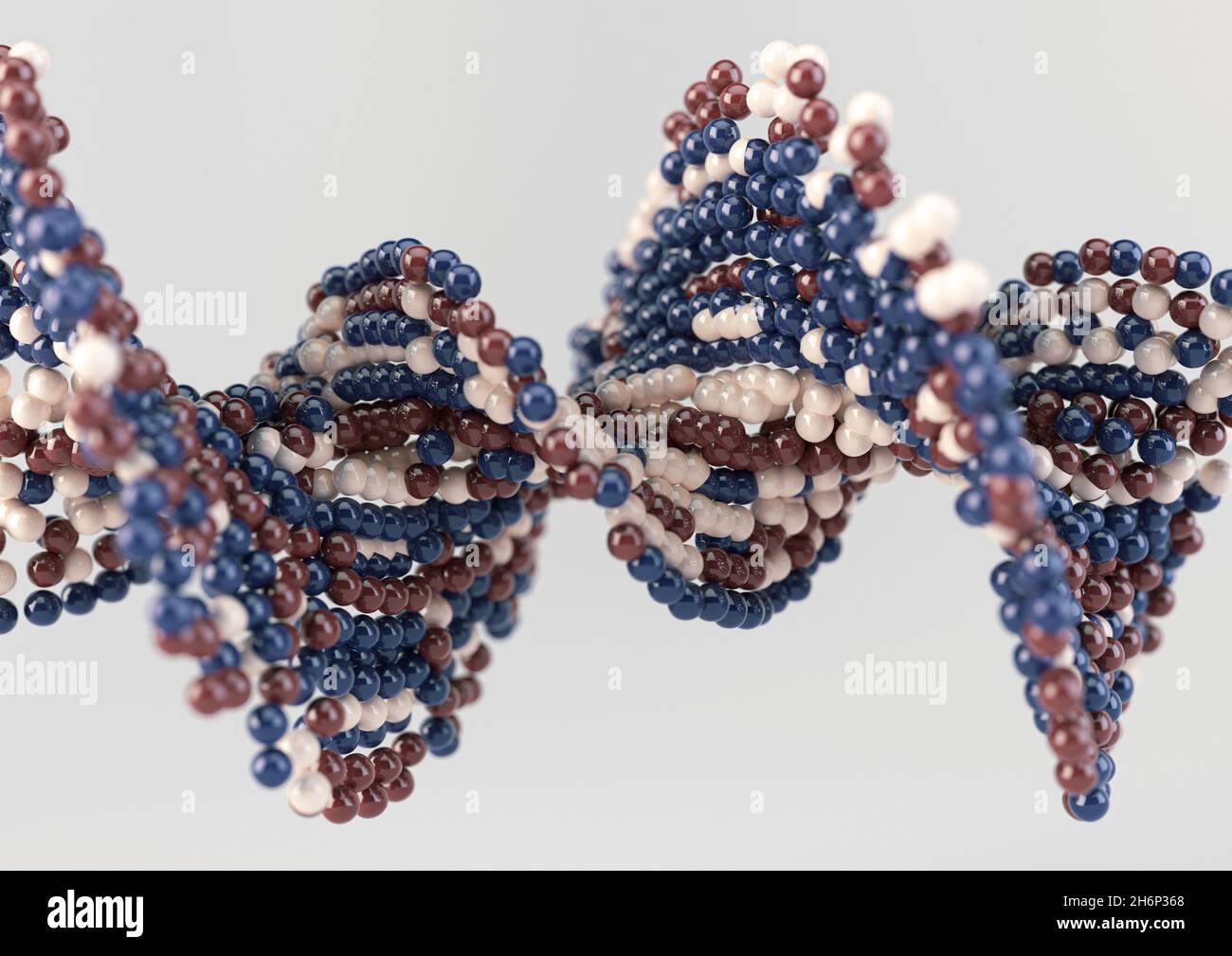 Structure of dna model hi-res stock photography and images - Alamy
