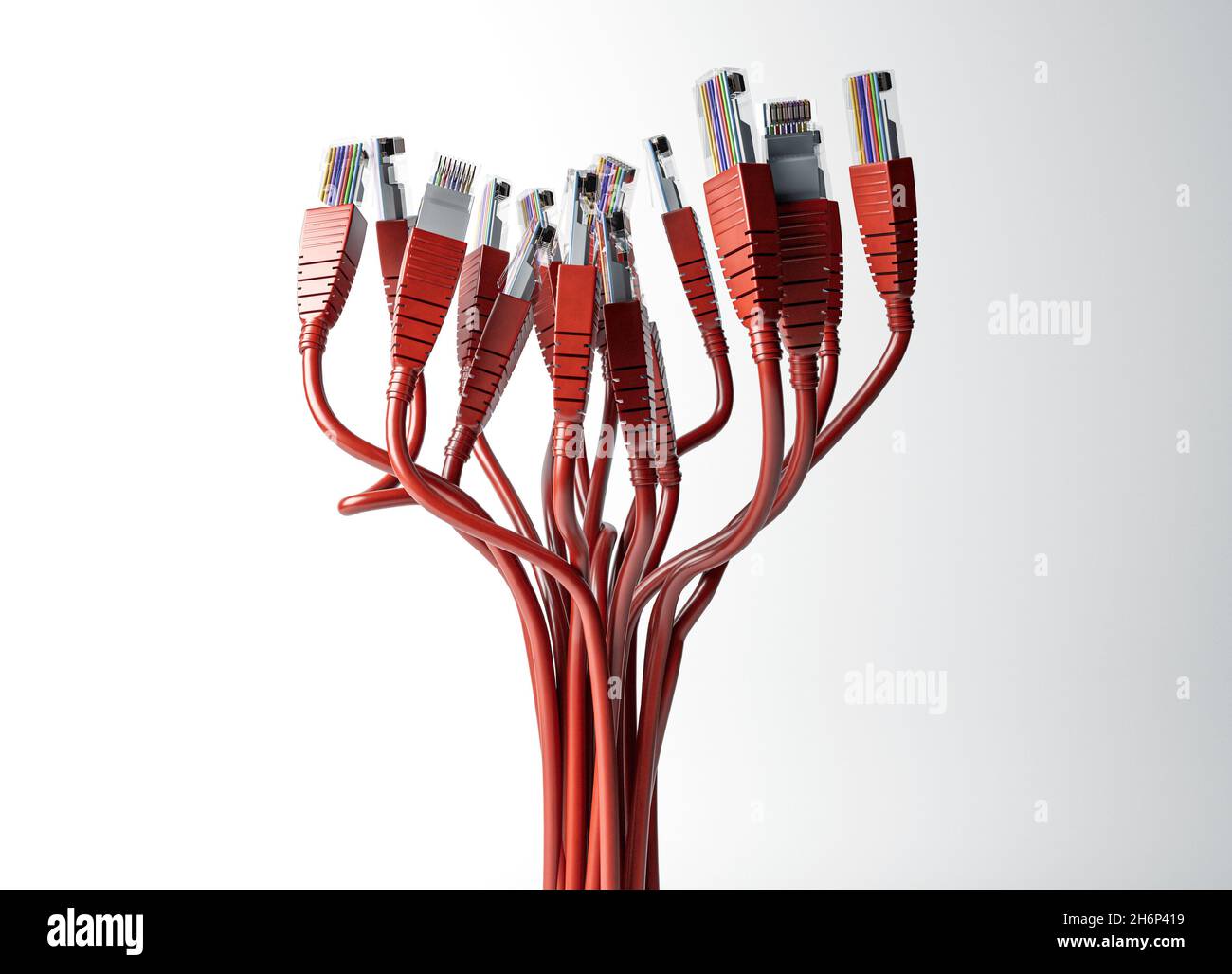 A collection of red ethernet plugs with chords arranged together facing ...