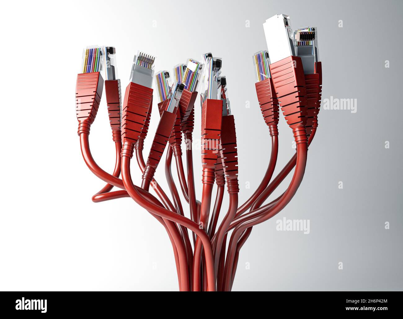 A collection of red ethernet plugs with chords arranged together facing ...