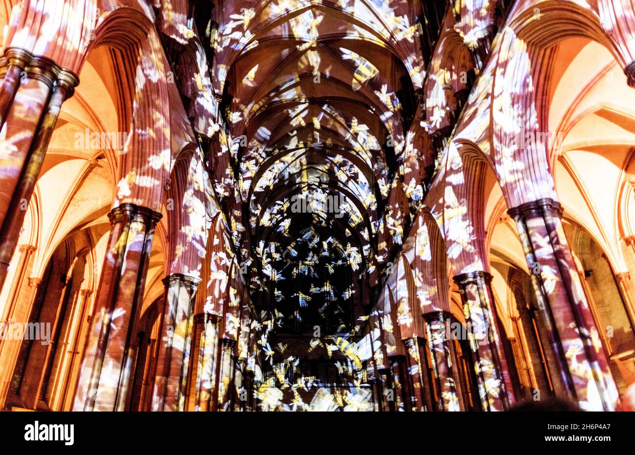 Sarum Lights Salisbury Cathedral Interior Light Show Salisbury ...