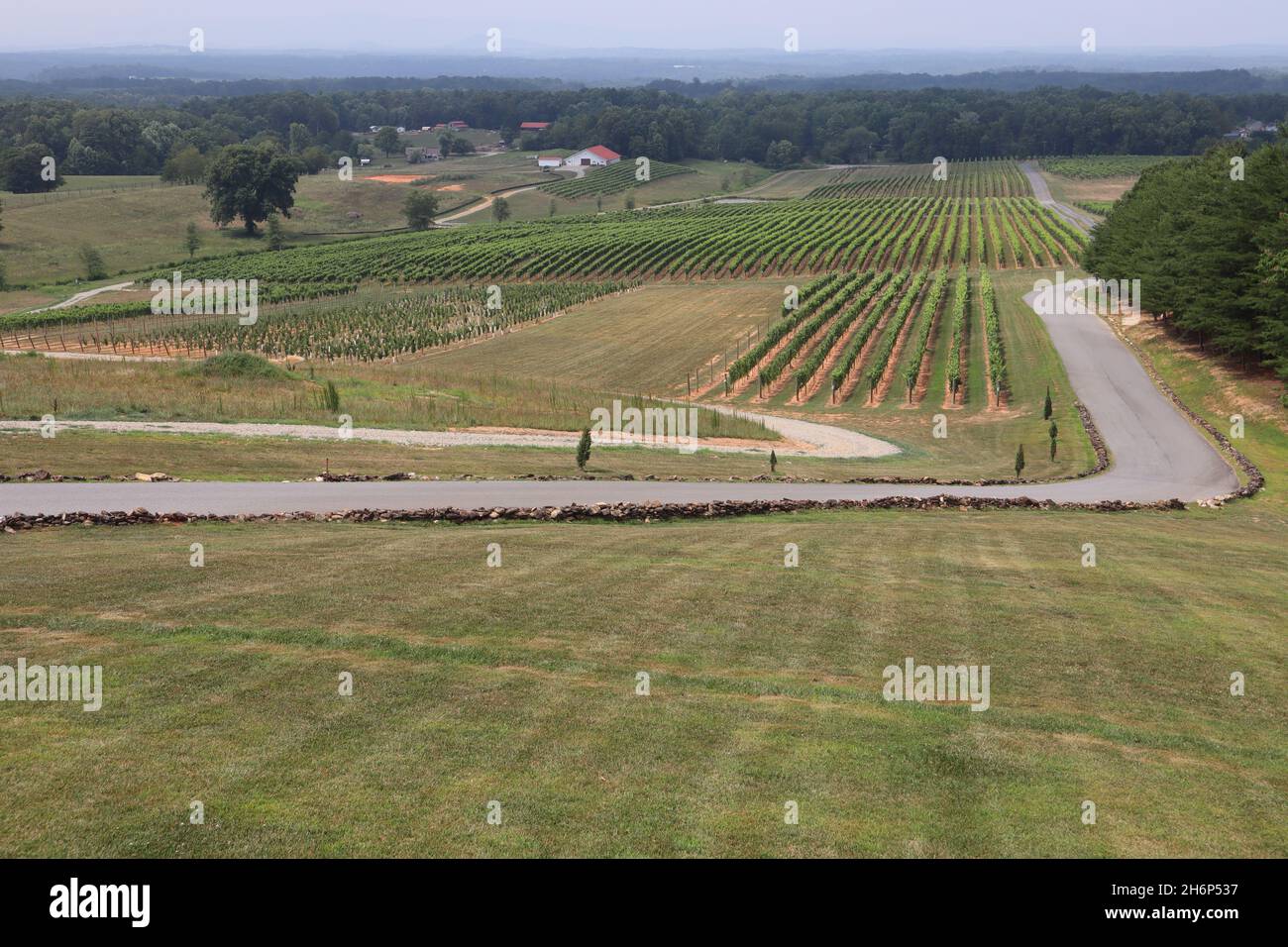 Landscape view down a road and vineyard in wine country of the Yadkin ...