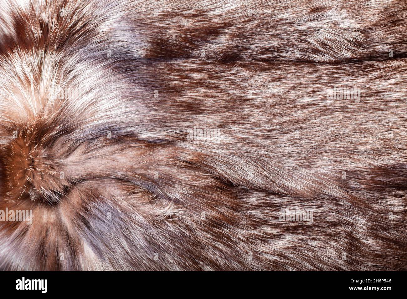 Natural animal fur texture as background, top view Stock Photo - Alamy