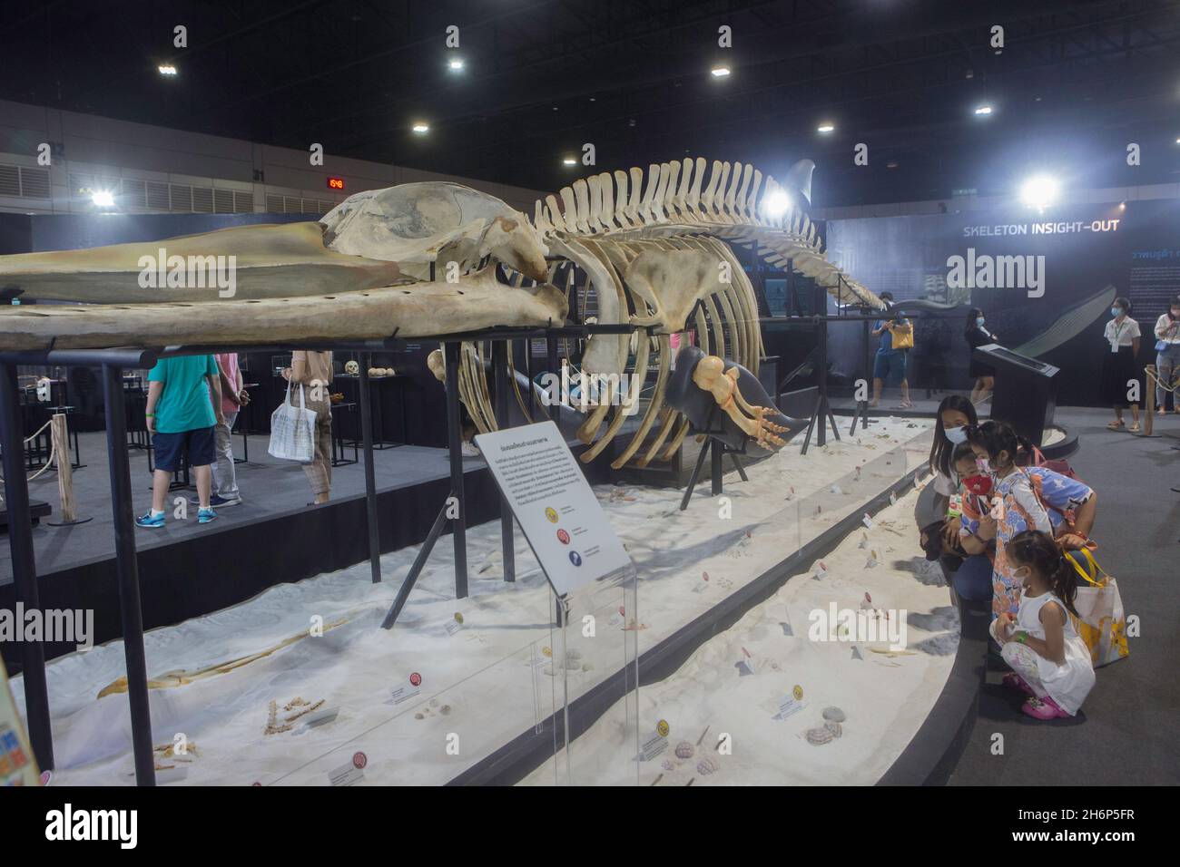 Gravity bone hi-res stock photography and images - Alamy