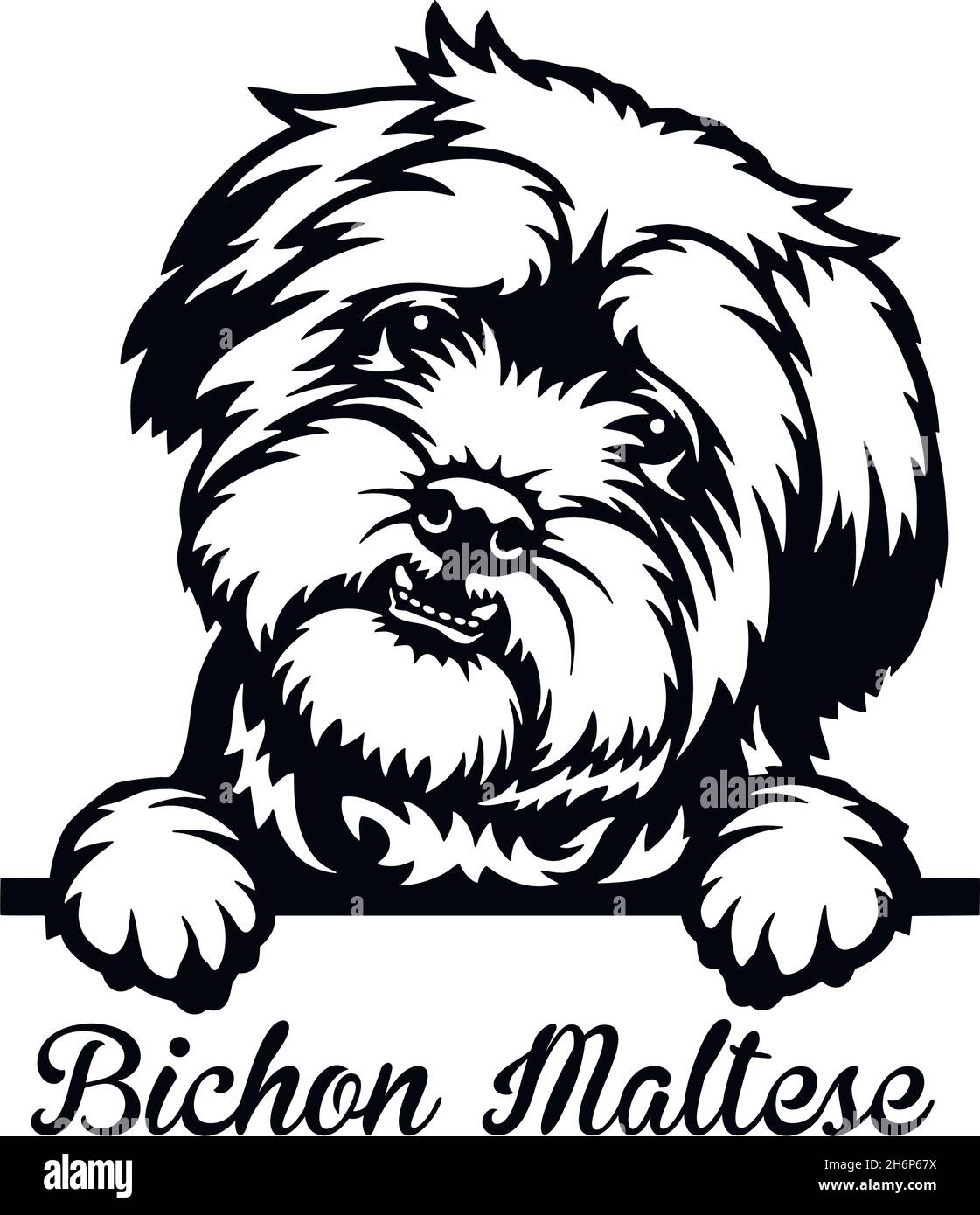 Maltese dog family Stock Vector Images - Alamy