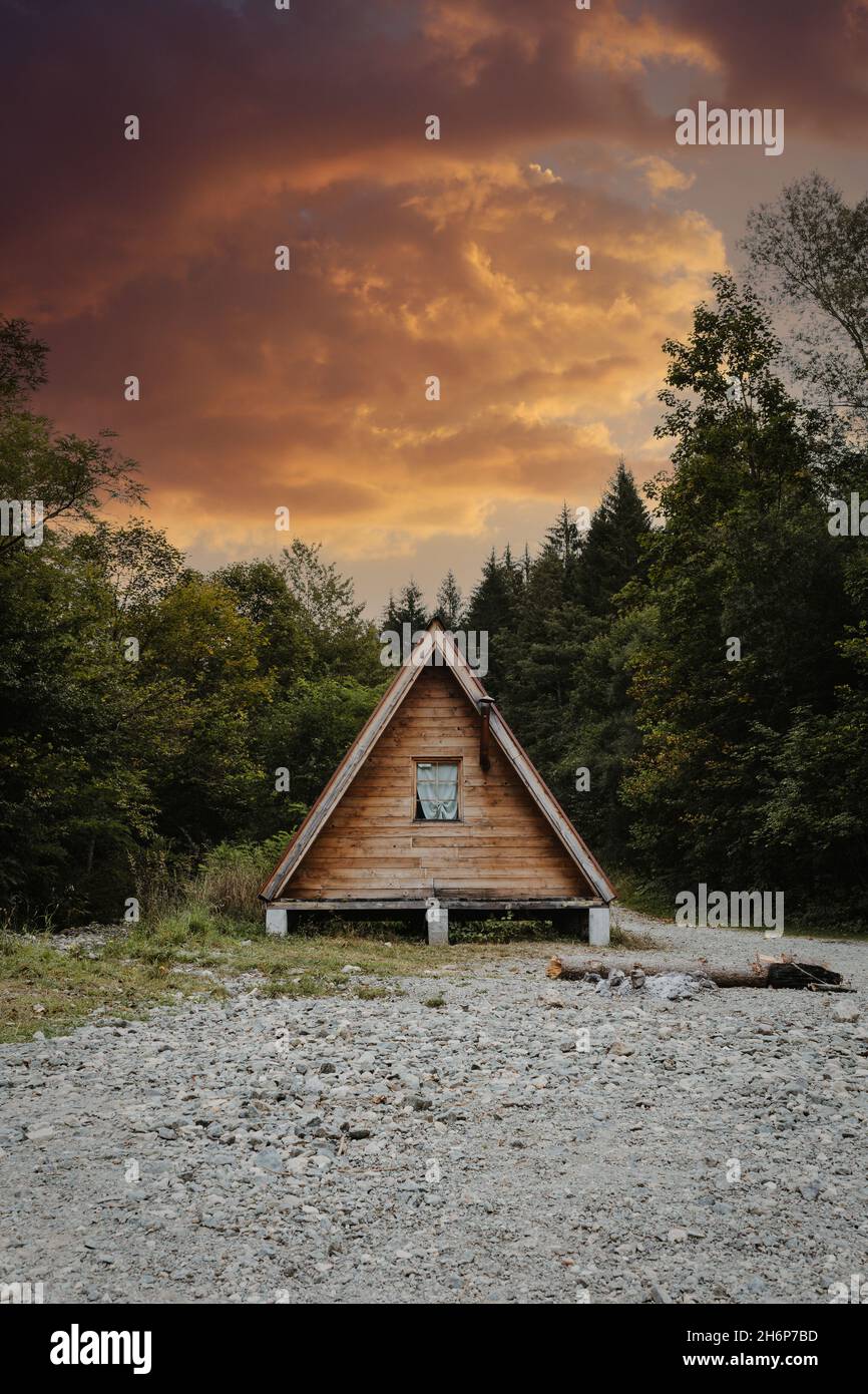 Catenary forest hi-res stock photography and images - Alamy