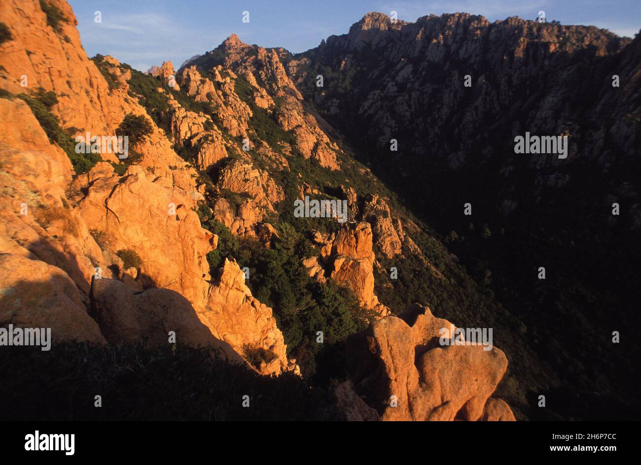 Pianas hi-res stock photography and images - Alamy