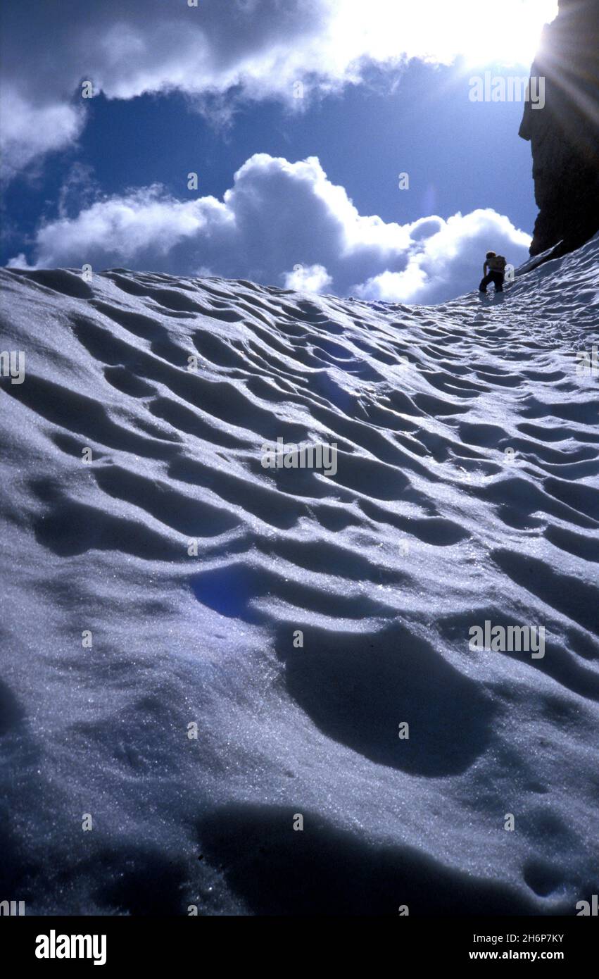 FRANCE. HAUTES-PYRENEES (65) CAMPAN VALLEY, NEAR SAINTE-MARIE-DE-CAMPAN ...
