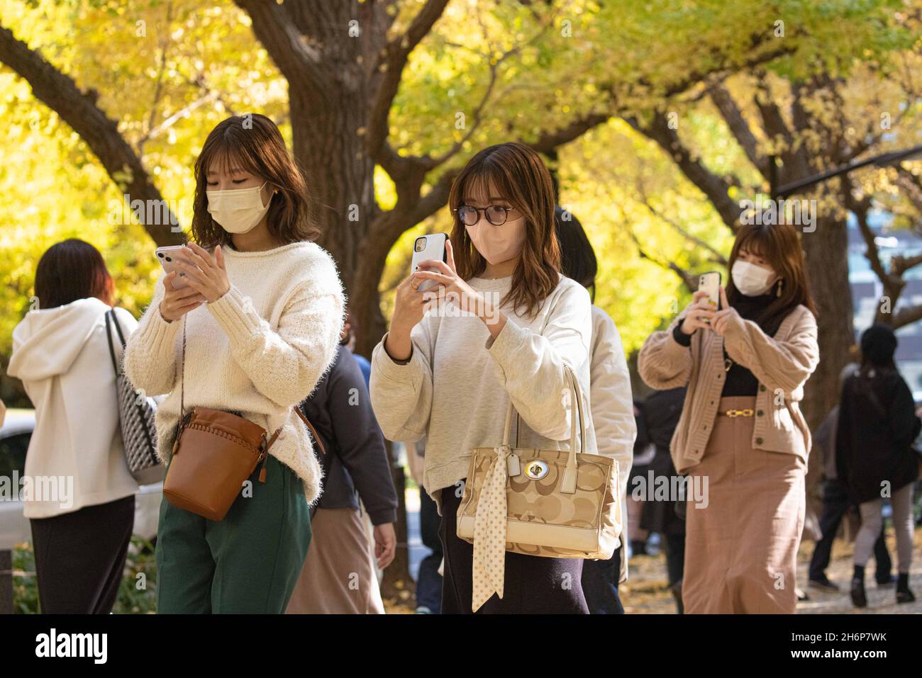 Visitors of Jingu Gaien Ginkgo Avenue dressed in autumn colors take ...