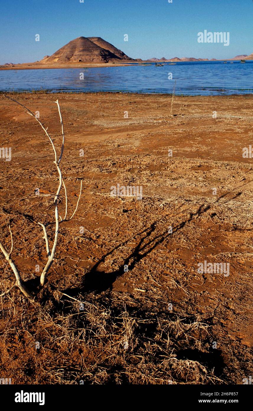Desert remains hi-res stock photography and images - Alamy