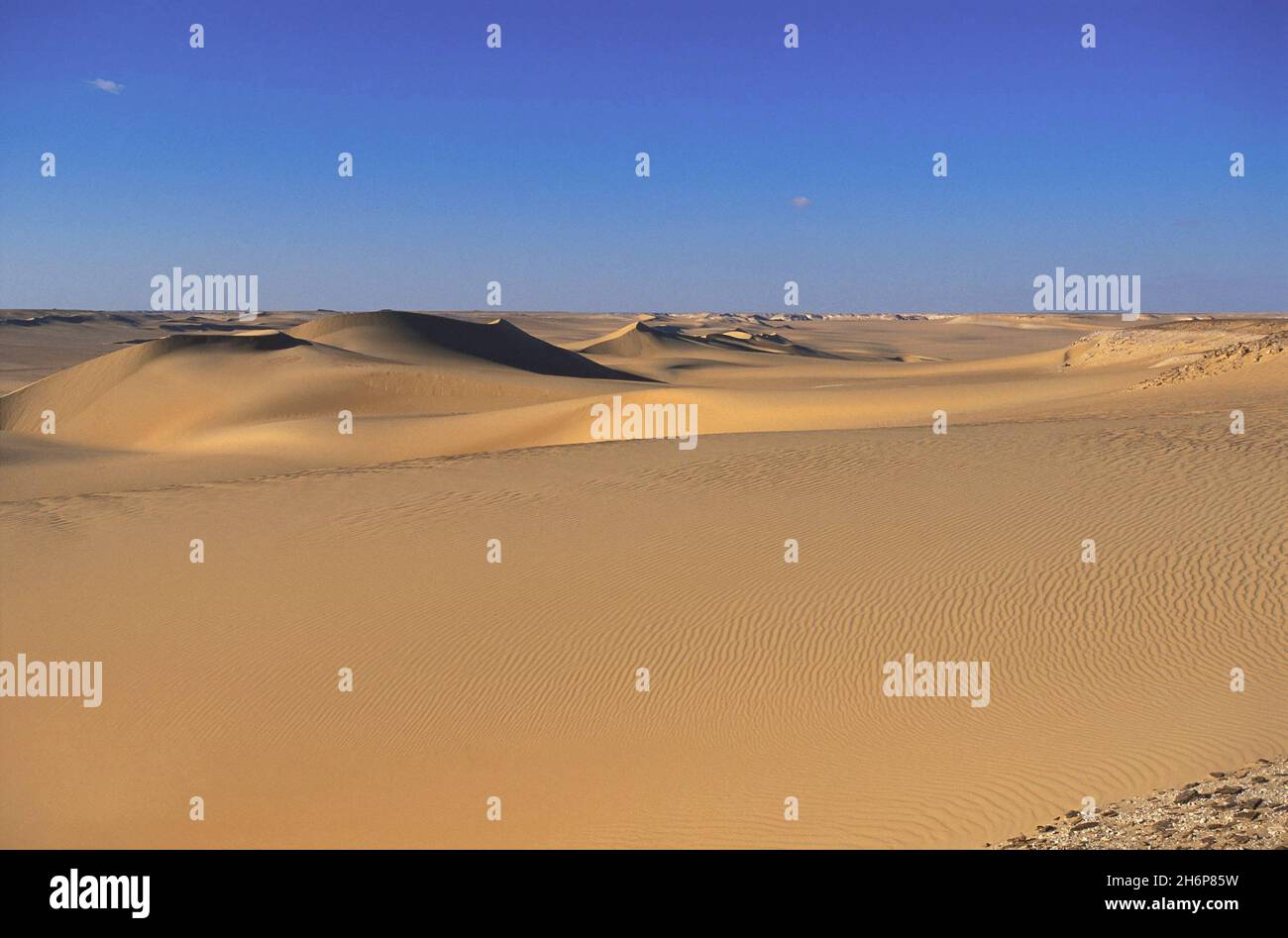 EGYPT. LIBYAN SAHARA, THE WHITE DESERT. ONE OF THE MOST HOSTILE AND ...