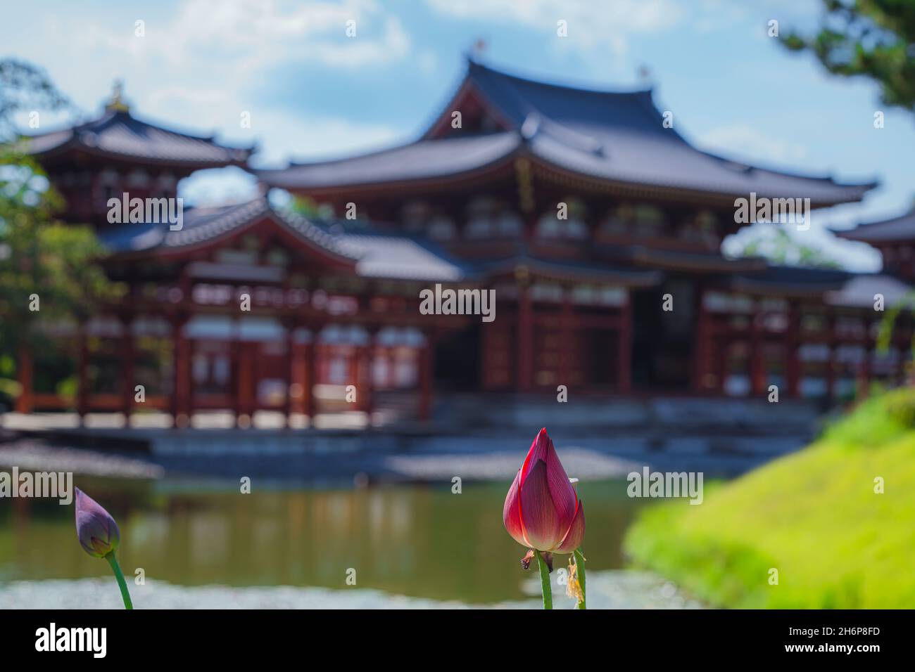 Beautiful Kyoto Byodo-in temple Stock Photo - Alamy