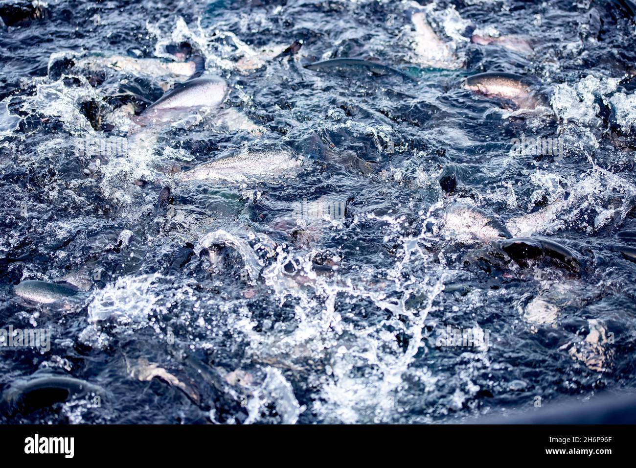 Delivery drone in canada hi-res stock photography and images - Alamy