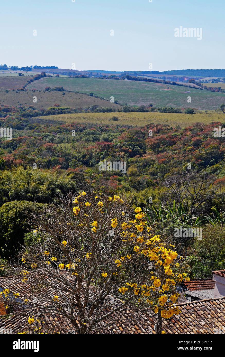 Brazil countryside hi-res stock photography and images - Alamy
