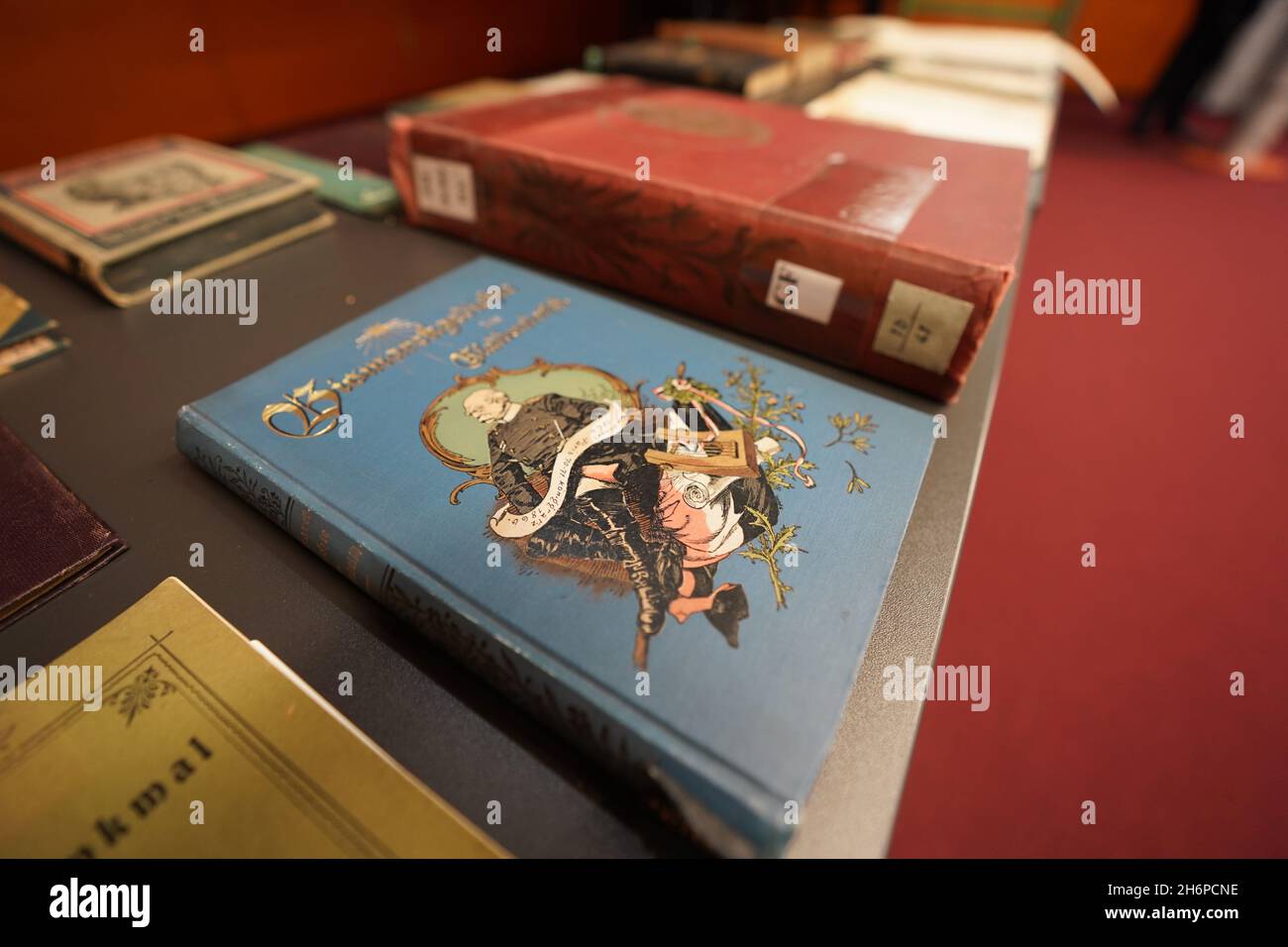 Hamburg, Germany. 17th Nov, 2021. Books from the Specht Bismarck ...